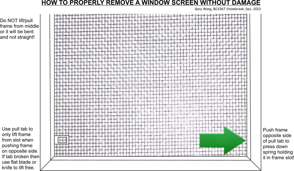 Annual Window Washing